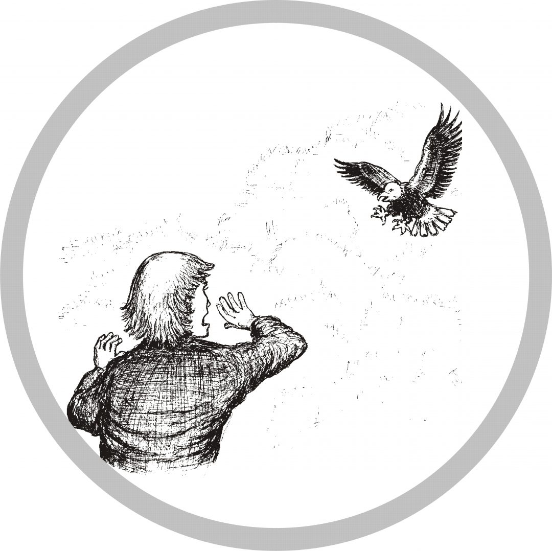 Eagle Attack - Kennebunk Art Studio