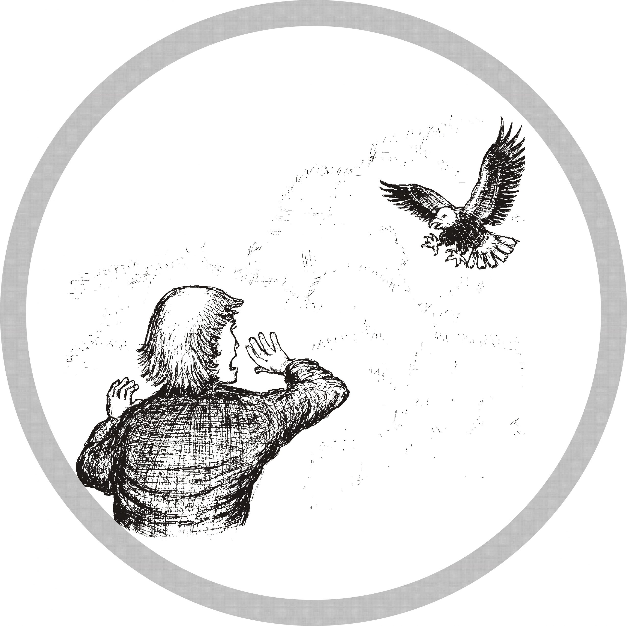 Eagle Attack - Kennebunk Art Studio