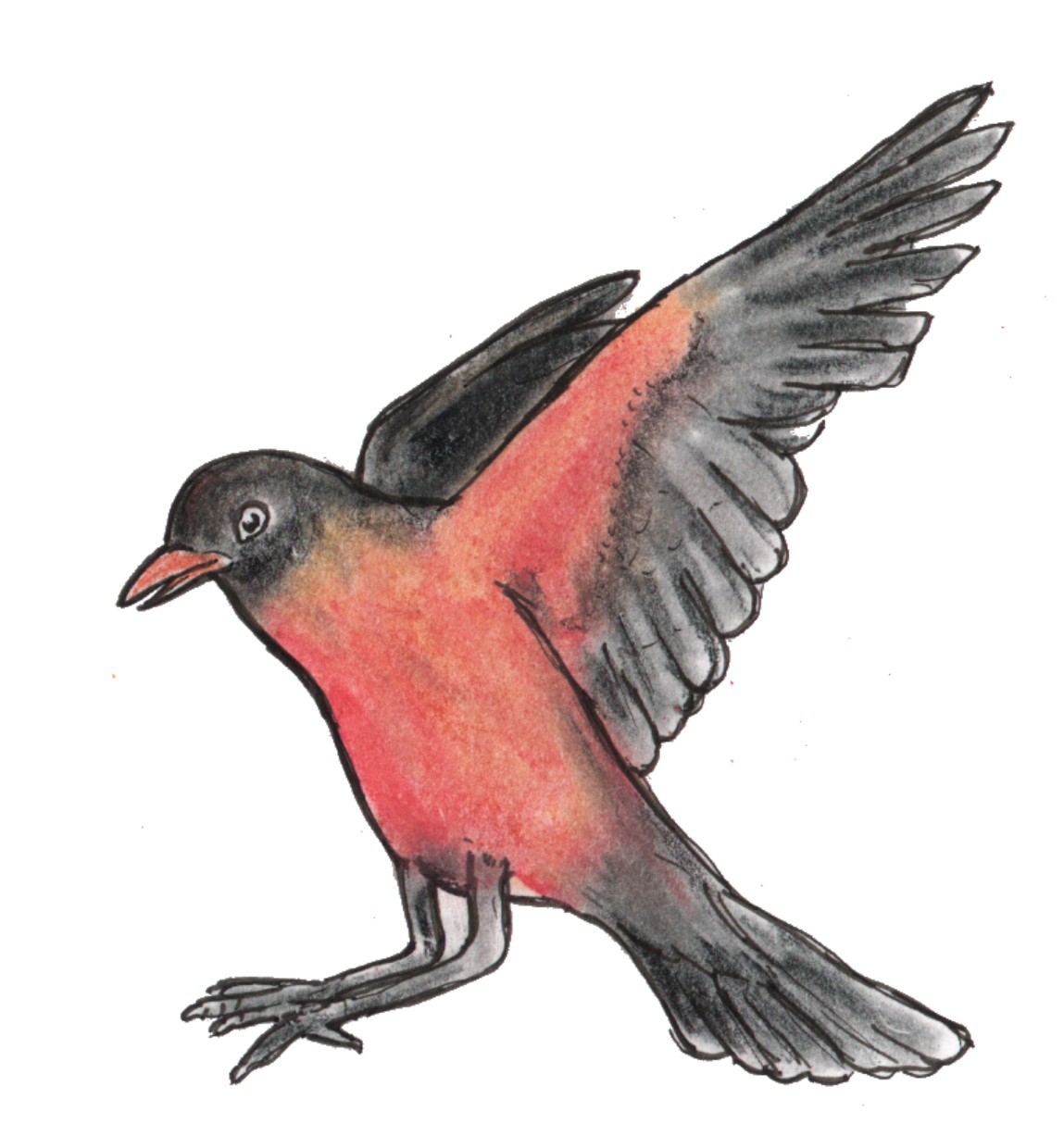 Steve Hrehovcik Maine Artist Porfolio